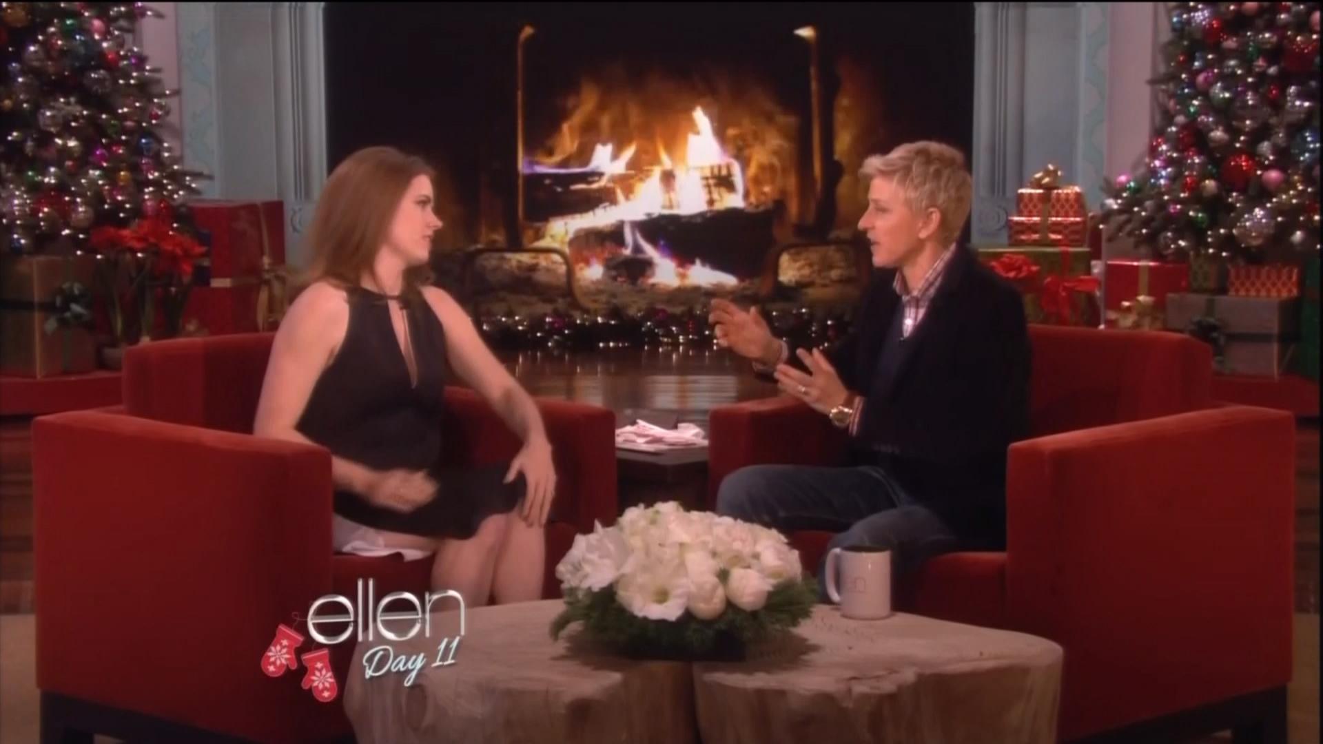 Amy Adams Fan