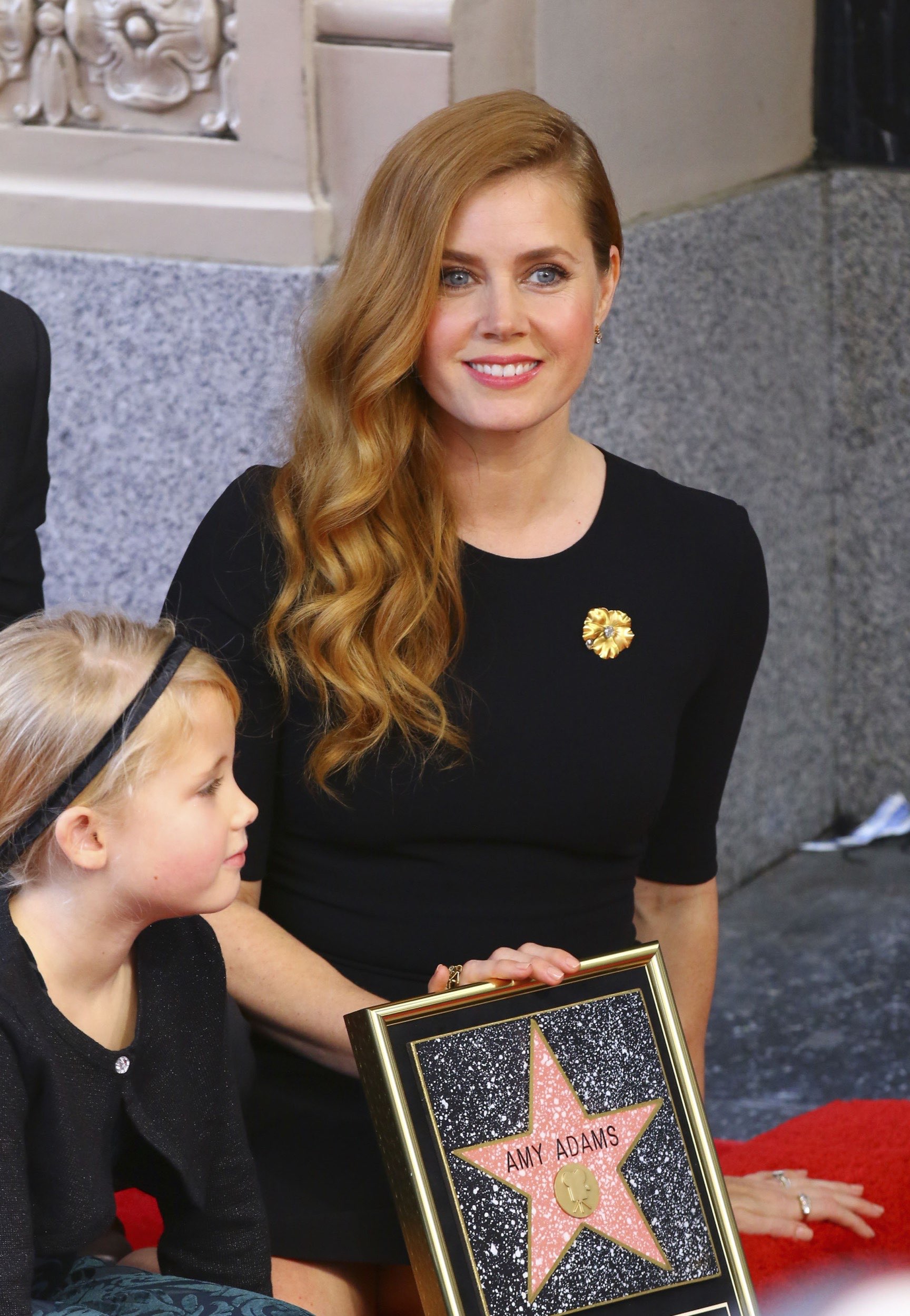 Amy Adams Fan