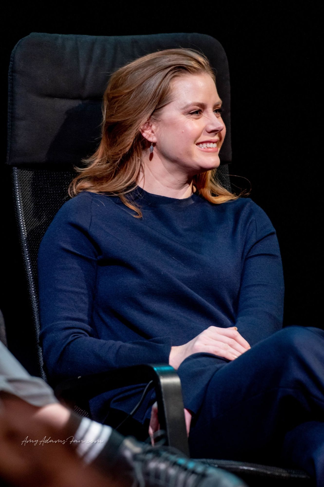 Amy Adams Fan