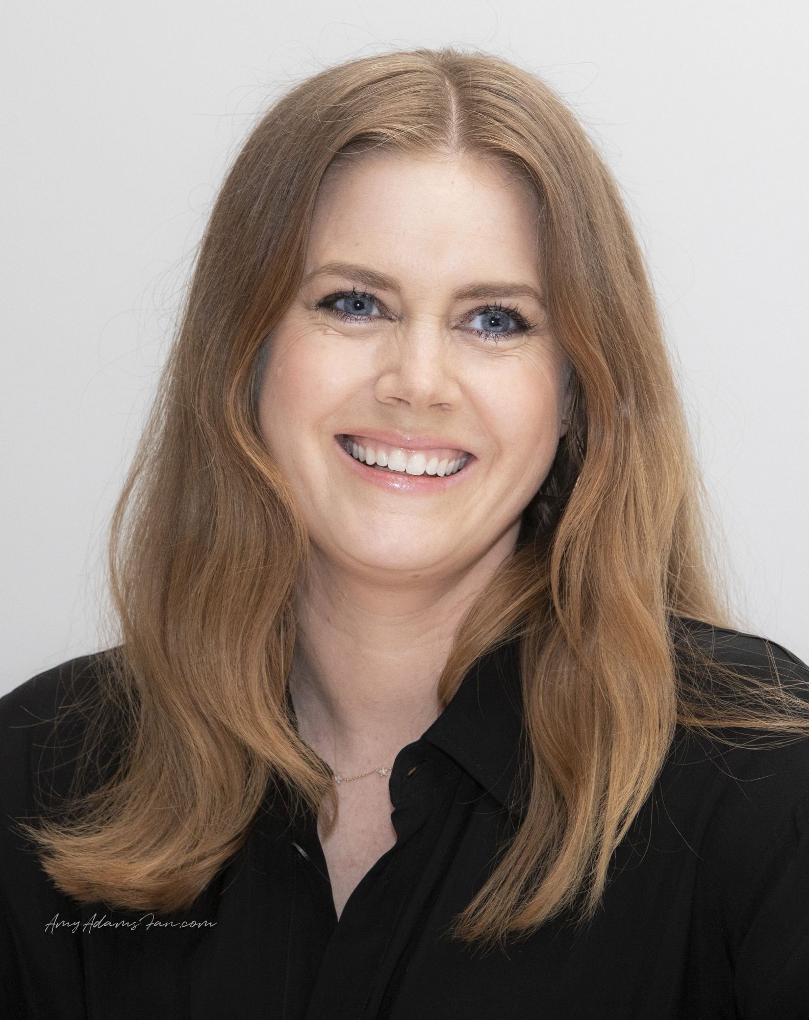 Amy Adams Fan