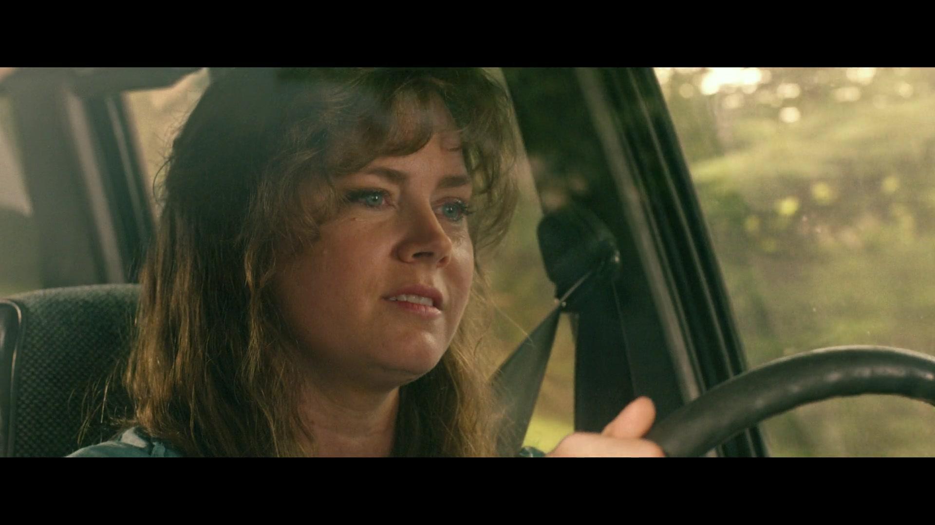Amy Adams Fan
