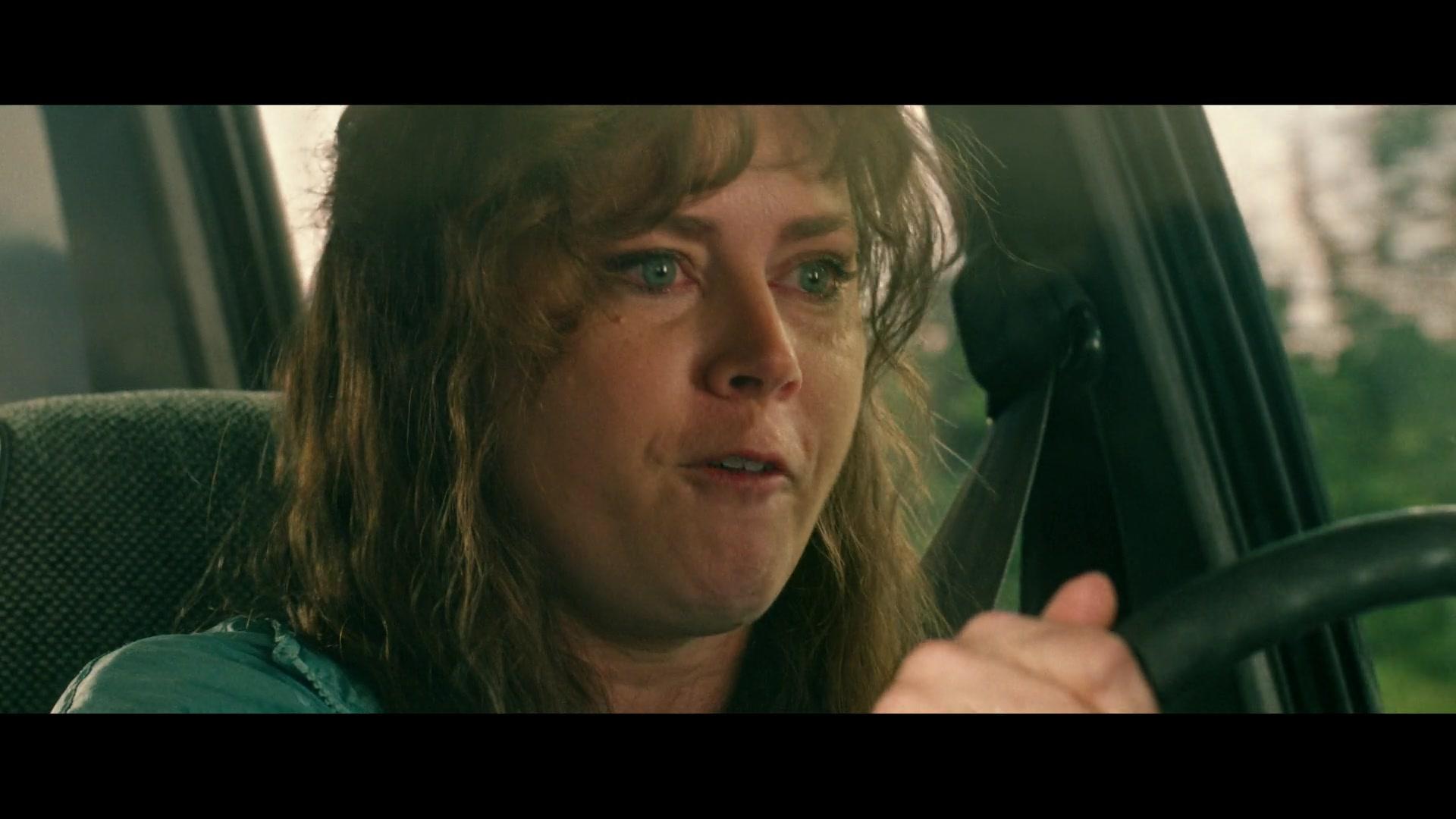 Amy Adams Fan