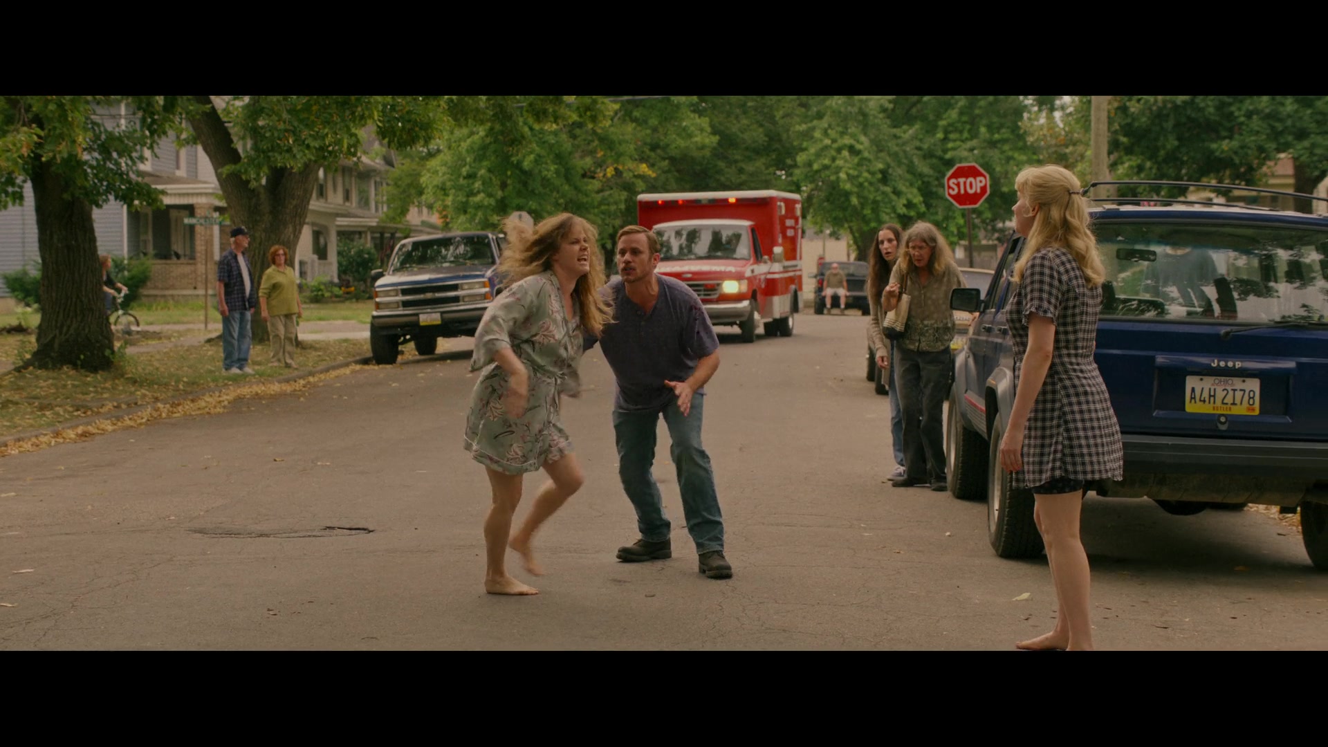 Amy Adams Fan