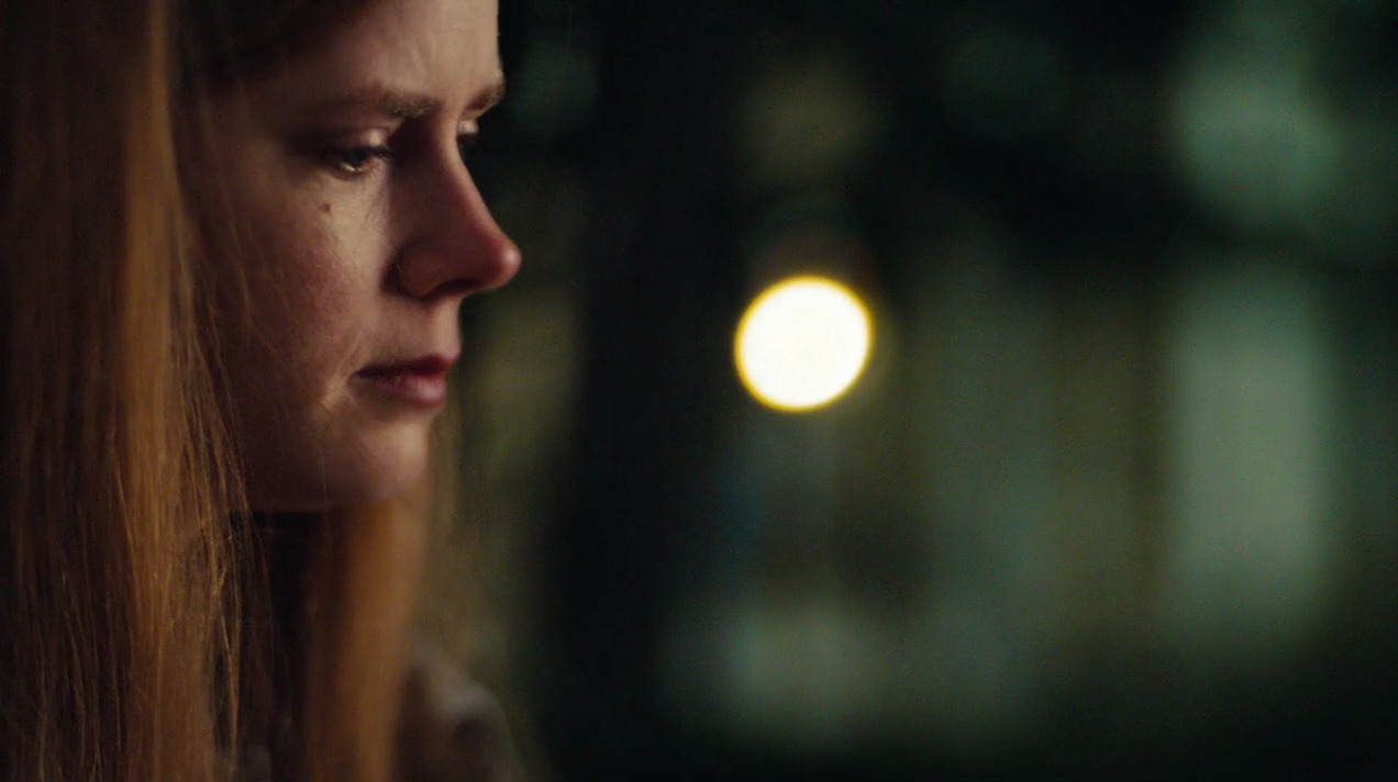 Amy Adams Fan