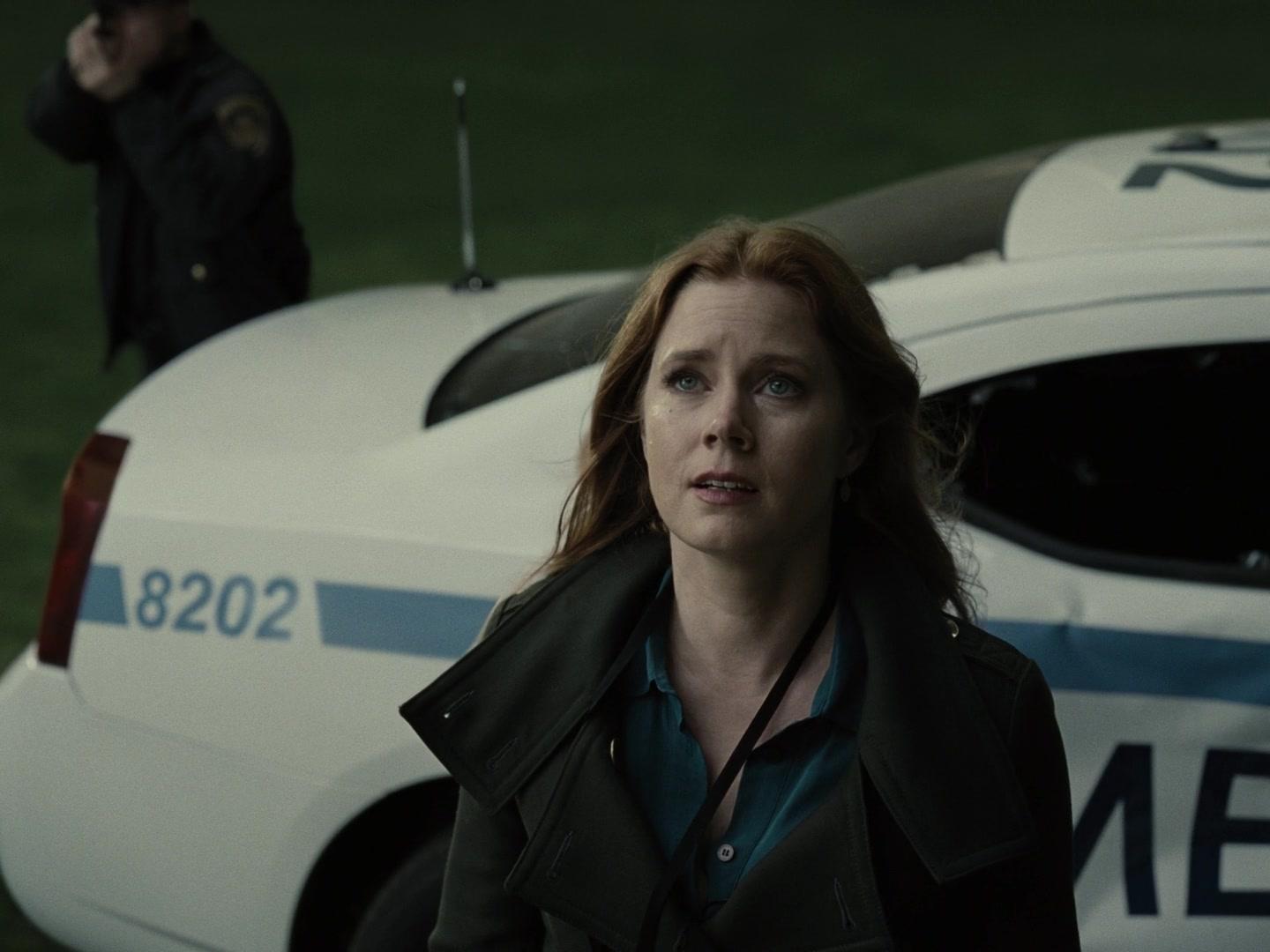 Amy Adams Fan